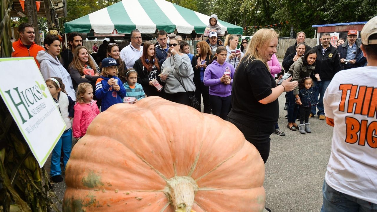3 family-friendly fall activities on Long Island - Newsday