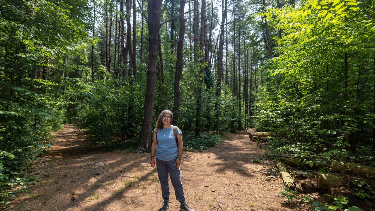 Want to try forest bathing on Long Island? Linda Lombardo of Copiague ...