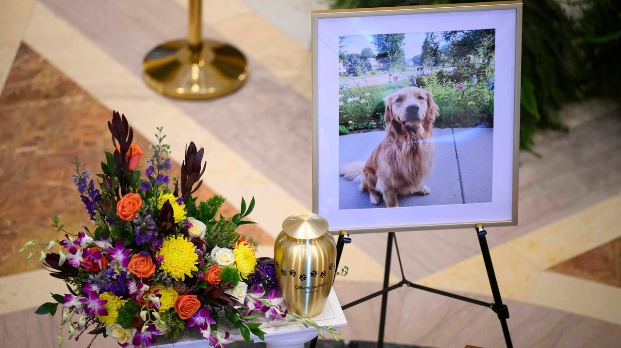 A slain Minnesota lawmaker's beloved dog, Gilbert, stays with her as ...