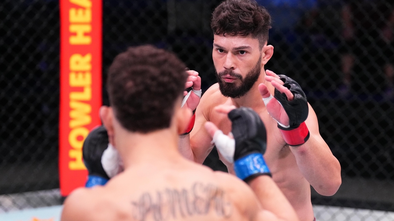 Dennis Buzukja wins fight on Dana White's Contender Series - Newsday