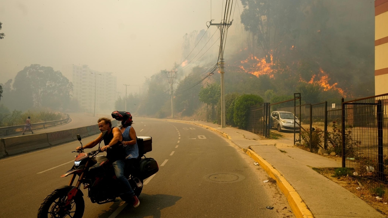 How climate change contributes to wildfires like Chile's - Newsday