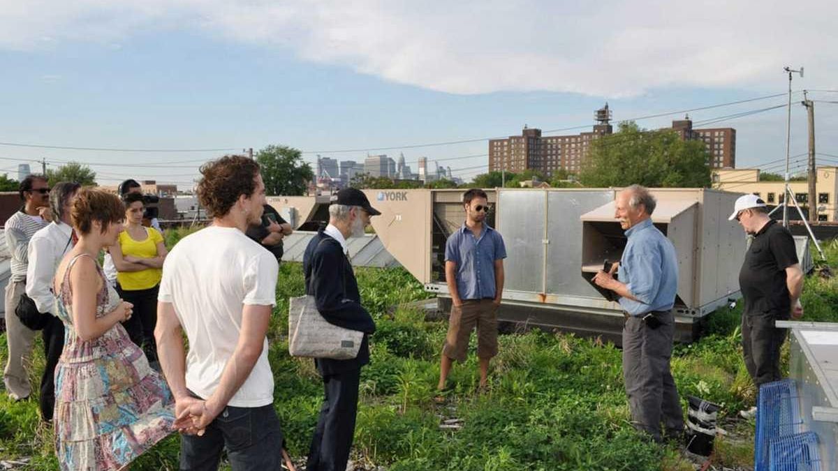 5 ways to celebrate urban nature - Newsday