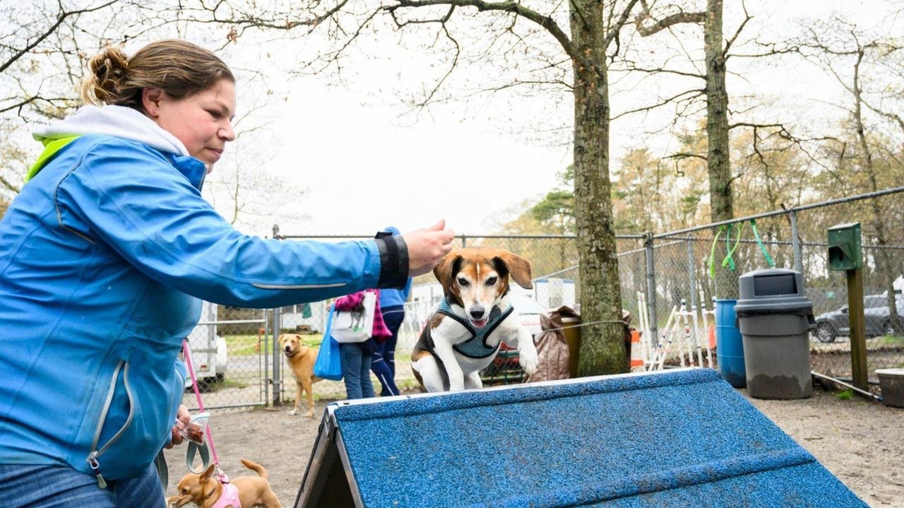 Pet reunion, celebration highlights big day for The Animal Rescue Fund ...