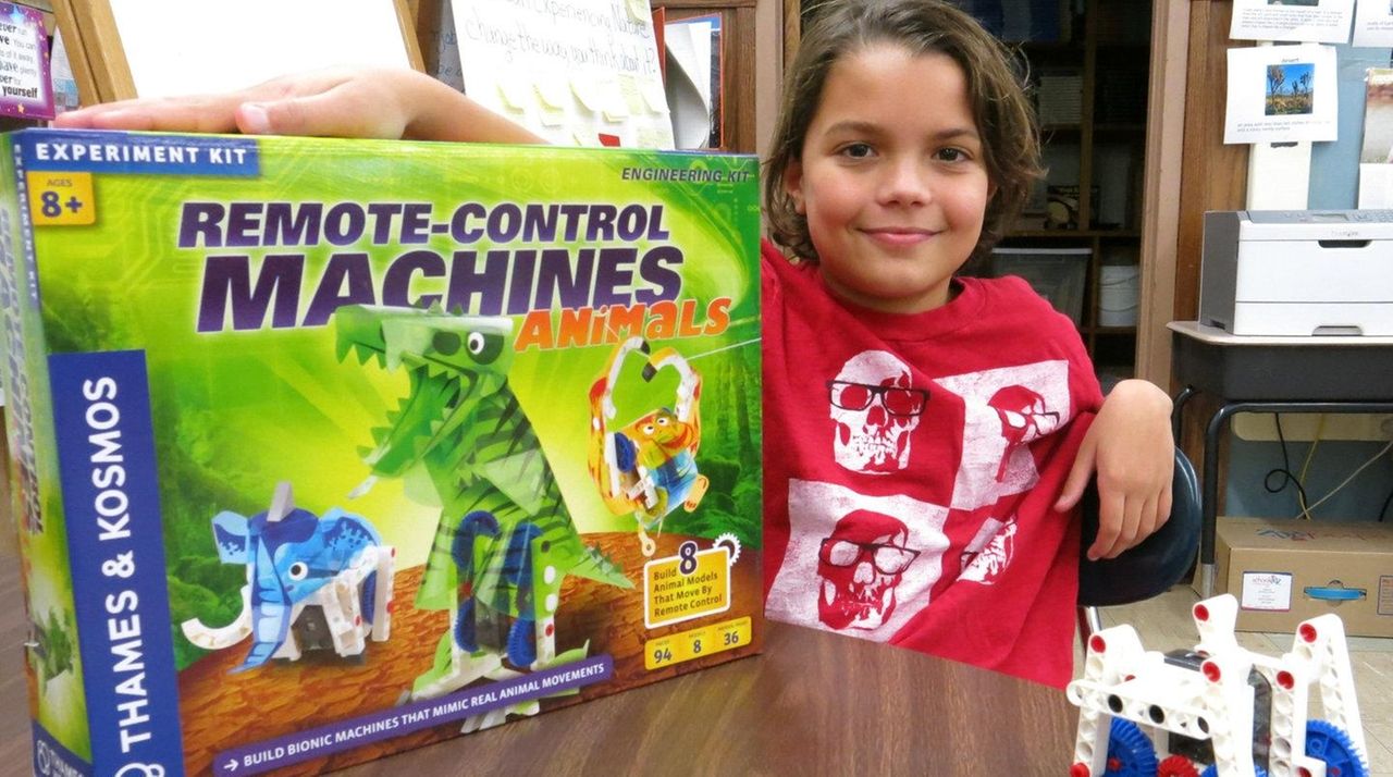 Remote Control Machines — Animals - Newsday