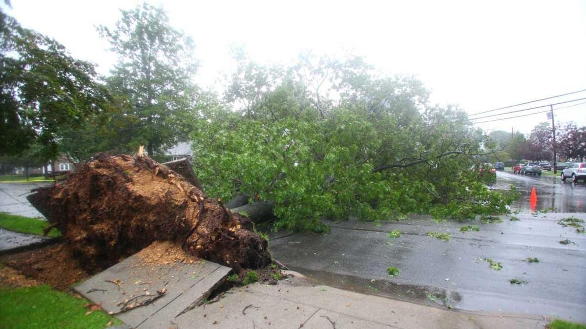 Post-Irene: Clean-up and outages information - Newsday