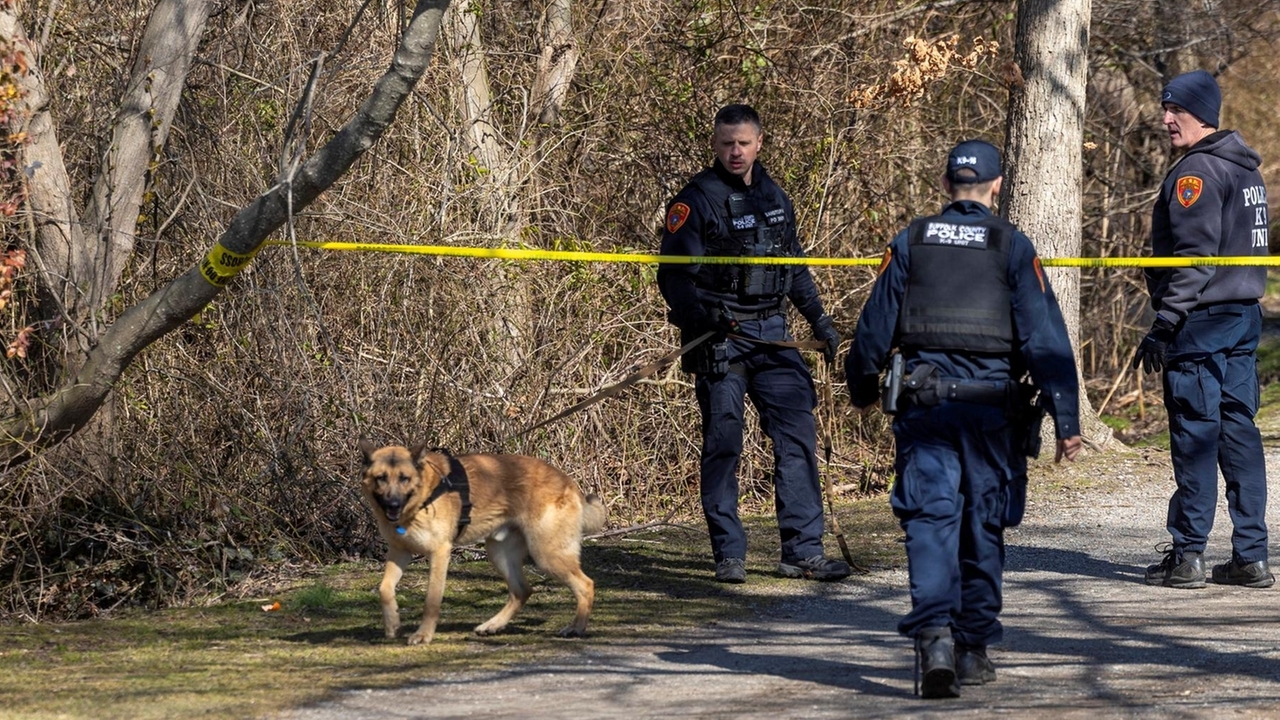 More human remains from second victim, including head, legs and arm ...