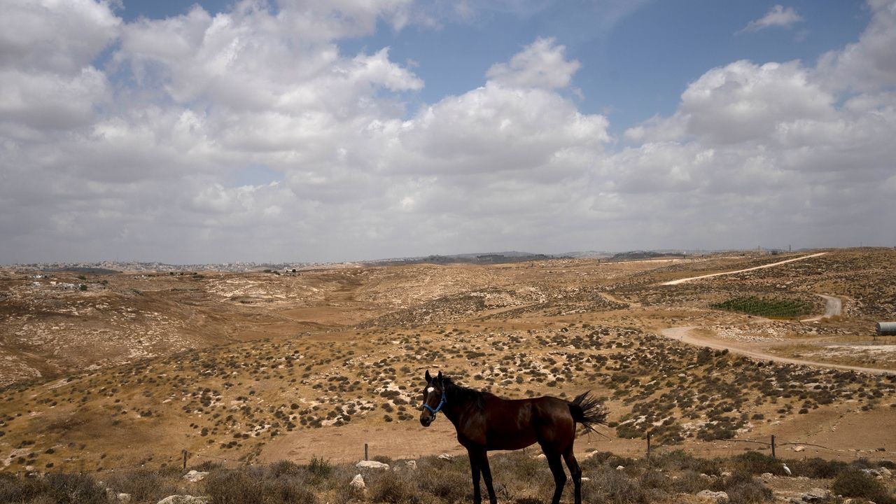 Israeli government quietly sends millions to unauthorized West Bank ...