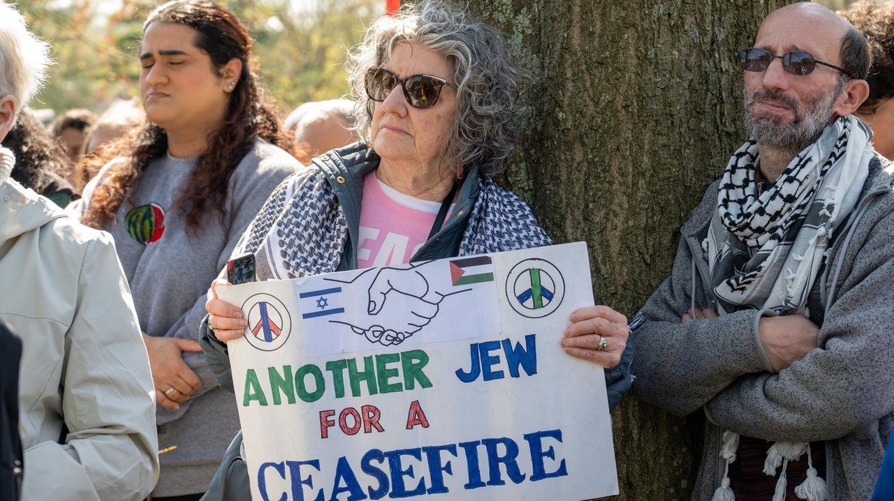East Meadow rally seeks peace in Gaza - Newsday