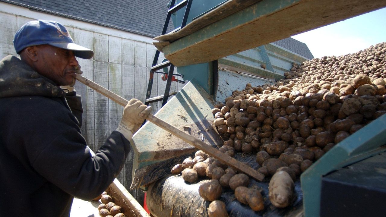 Exhibit revisits photos that captured a world of workers hidden in ...