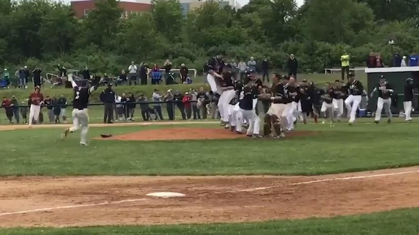 Wantagh baseball wins its second straight Nassau A title - Newsday