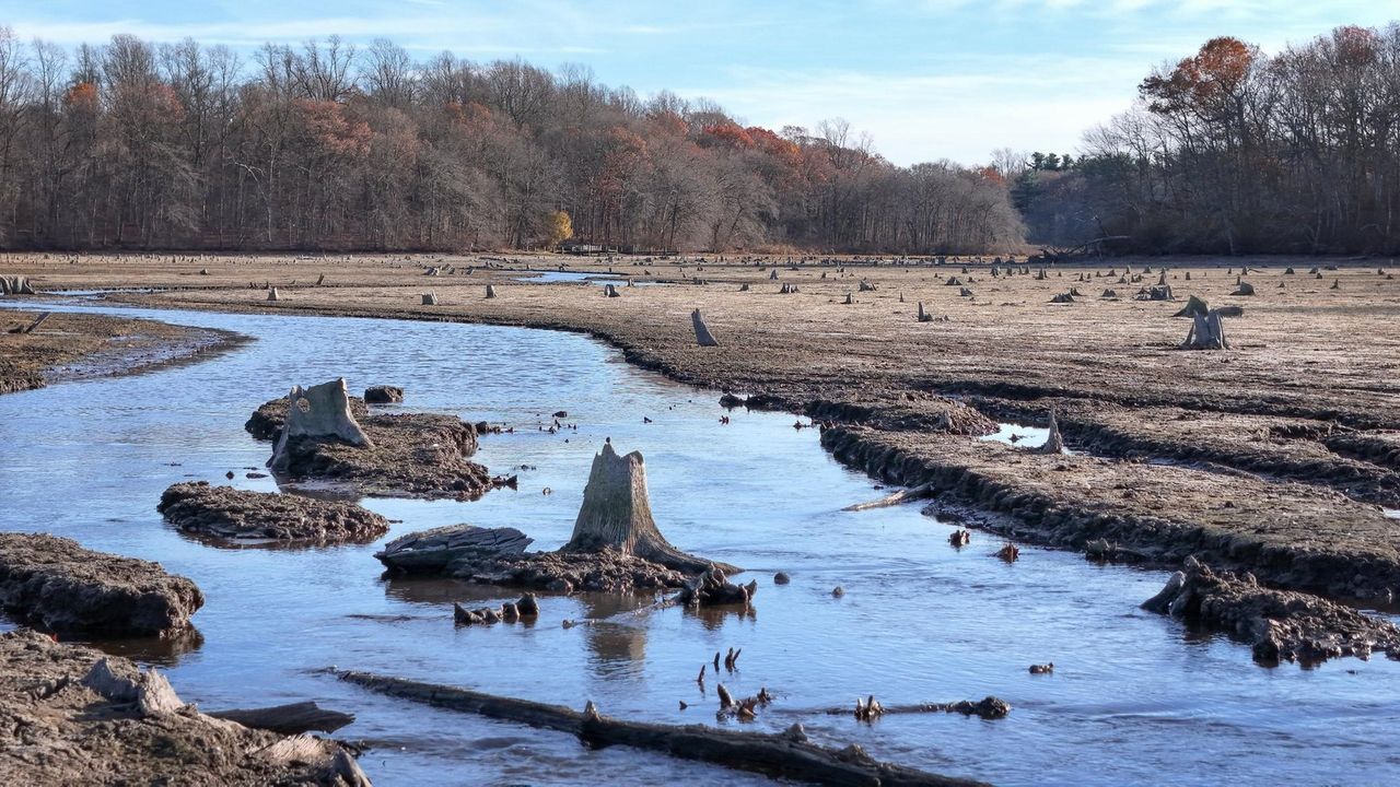 Suffolk lawmakers approve $6.6M to rebuild New Mill Pond dam destroyed ...