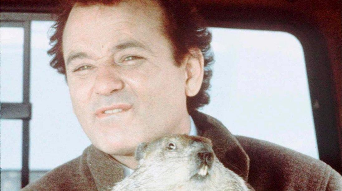 Bill Murray’s funniest moments in classic cut-up roles - Newsday
