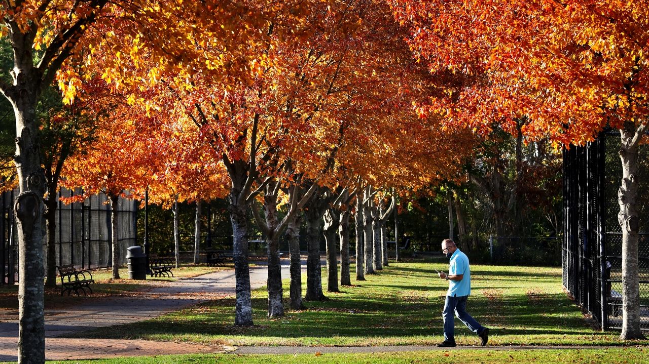 Go fall foliage spotting at these Long Island events - Newsday