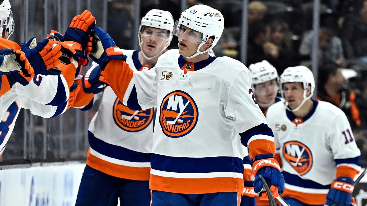Islanders score three in third period to defeat Ducks - Newsday