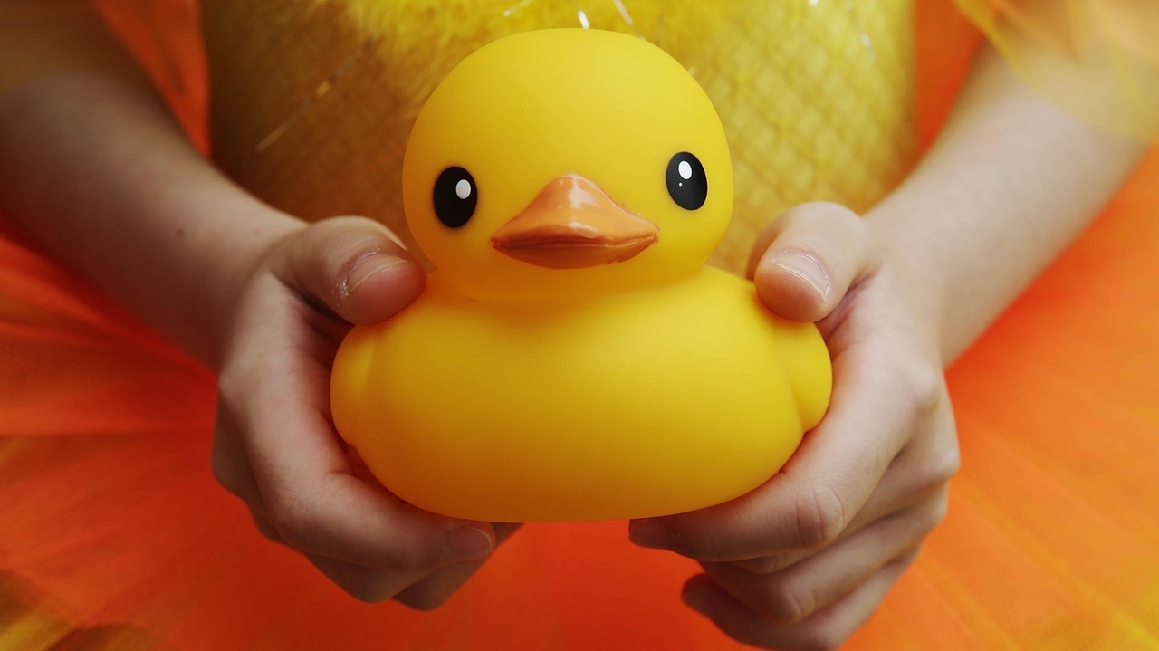 Rubber duck, chess now in the U.S. Toy Hall of Fame - Newsday