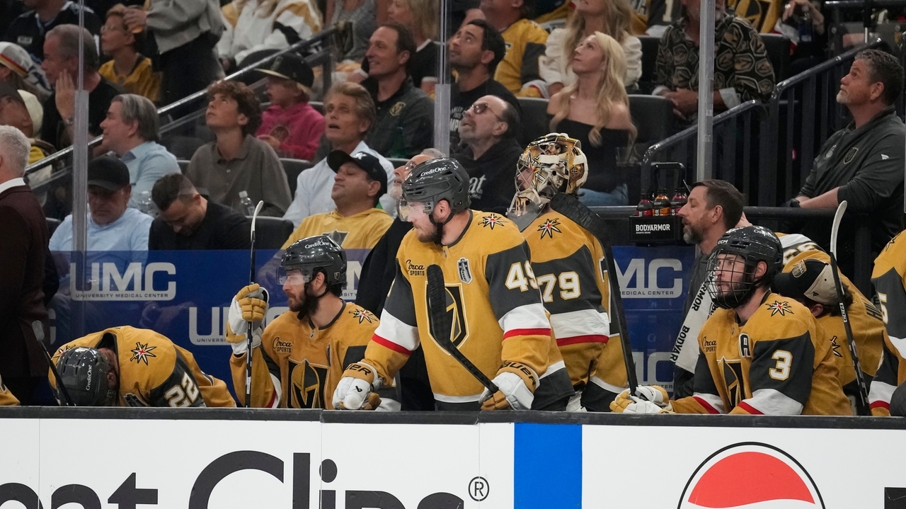 Golden Knights promote Ryan Craig to head coach from AHL - Newsday