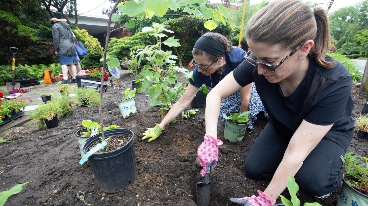 Great Neck Synagogue community helps to restore memorial garden - Newsday
