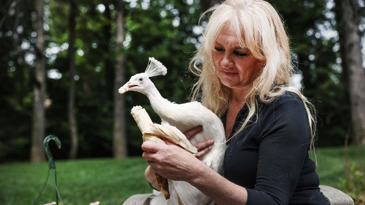 Photos: Day in the Life of Long Island 2023 - Newsday