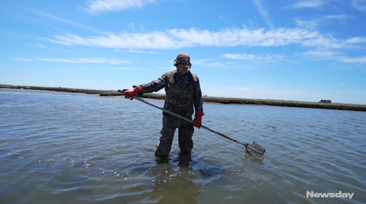 Act 2: Long Island bayman still plying the waters, preserving ...