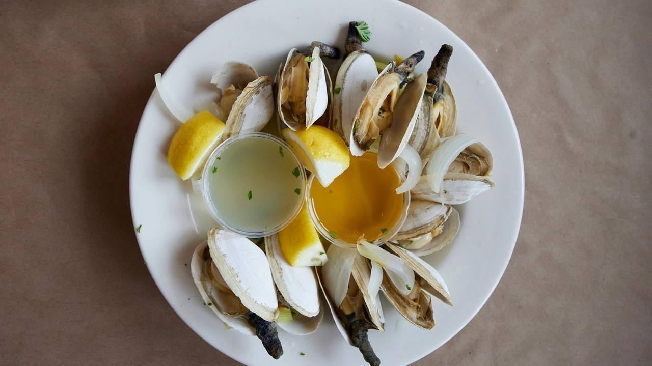 What to know about steamers, Long Island's king of clams - Newsday