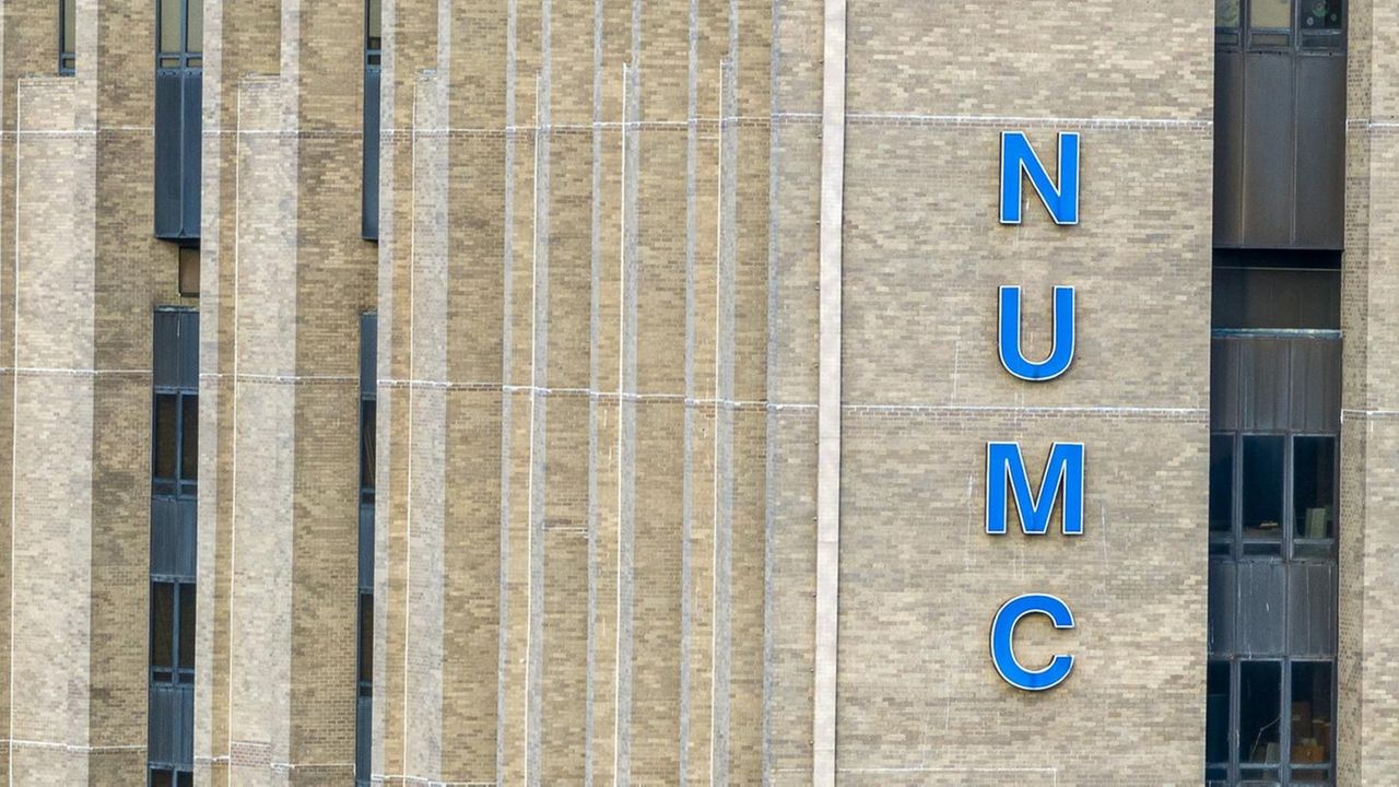 Audits important factor in NUMC's survival - Newsday