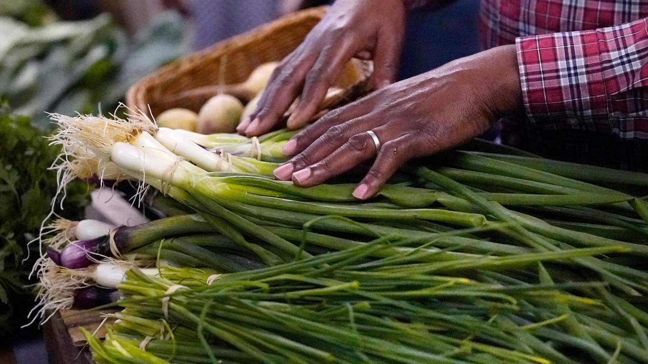 How you store produce can make it last longer - Newsday