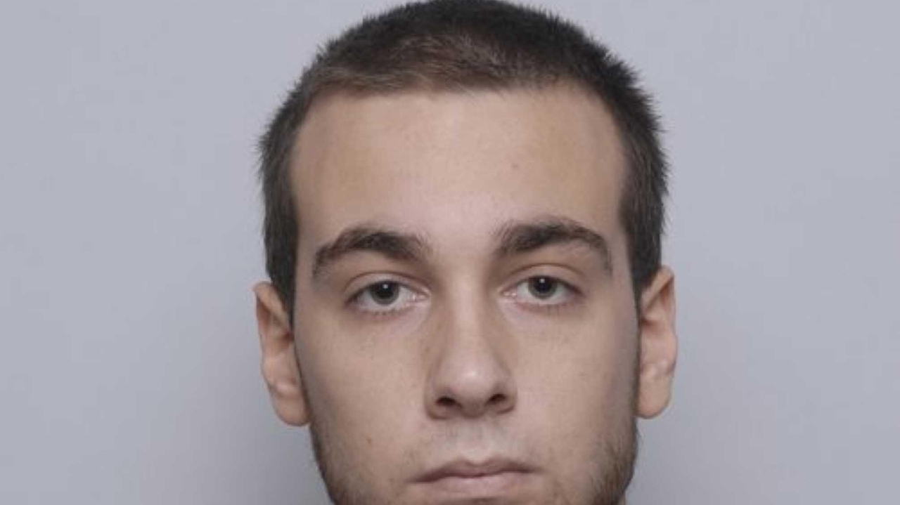 Nicholas Hansen gets 23 years for shooting at cop - Newsday