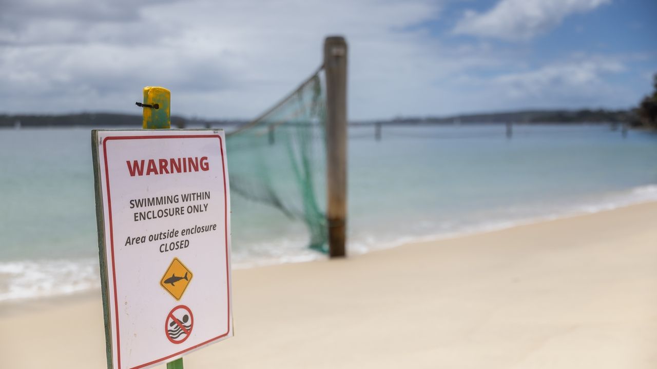 Man and boy critical after three shark attacks in Sydney in just over ...