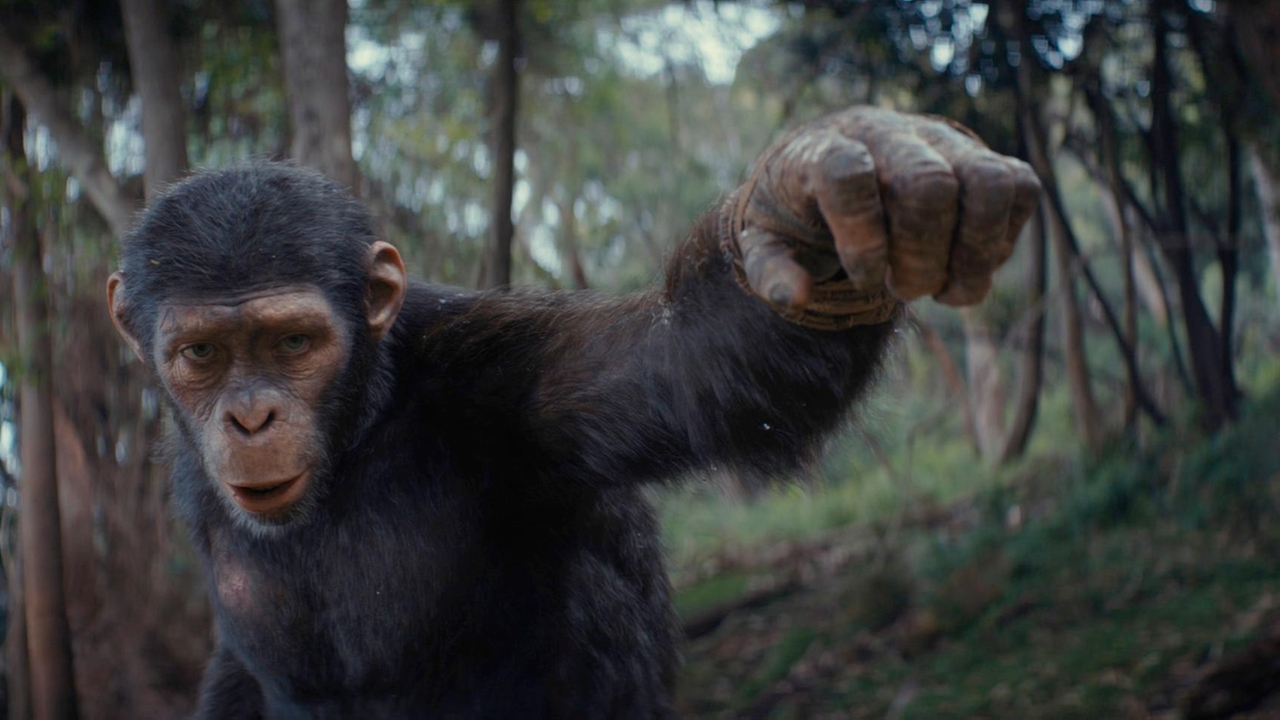 Movie Review: 'Kingdom of the Planet of the Apes' finds a new hero and ...