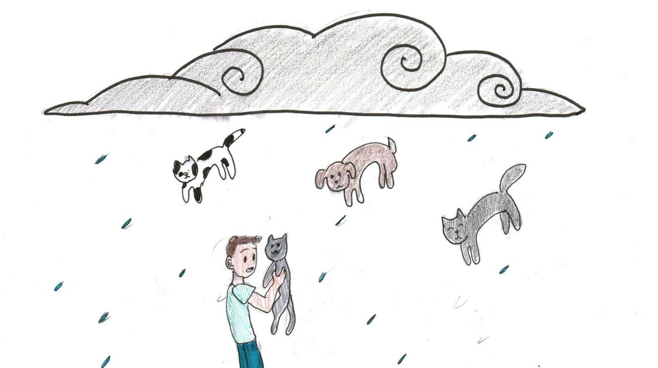 Got an umbrella? It's raining idioms - Newsday