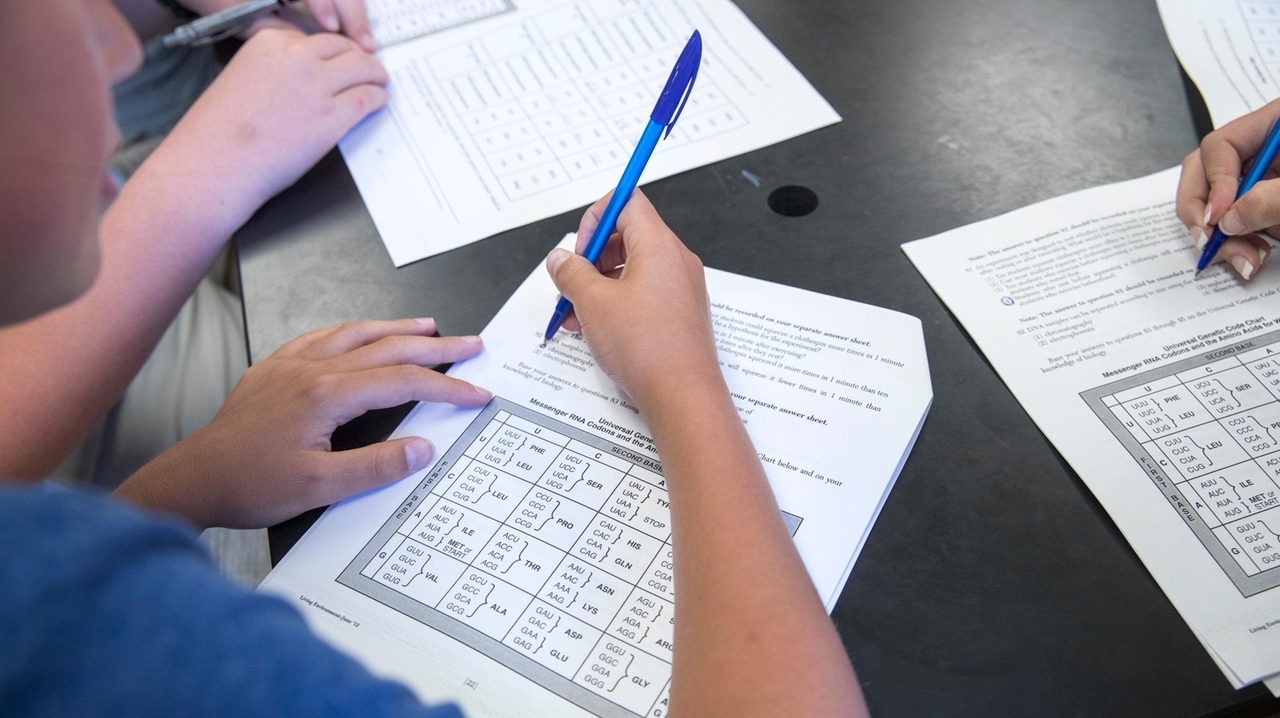 Lower educational standards will leave children behind - Newsday