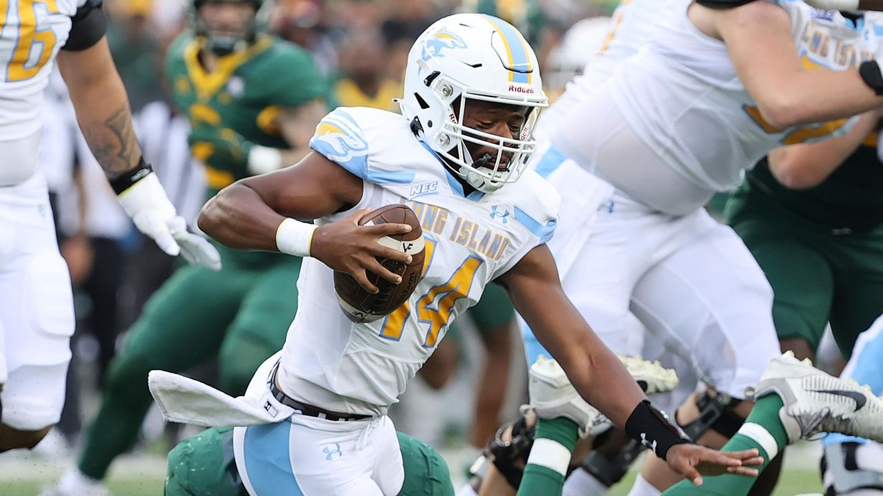 LIU comes up empty against Baylor after lightning delay - Newsday