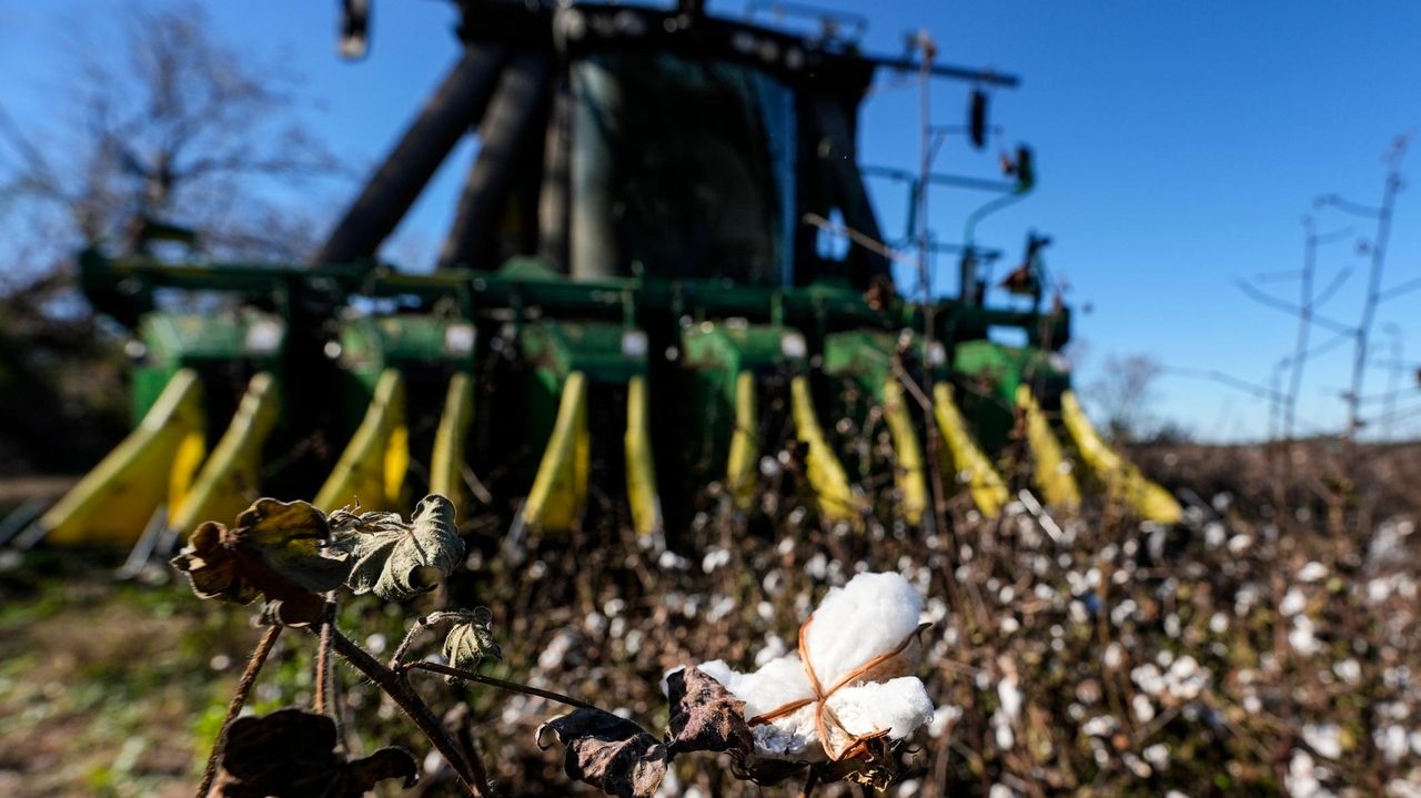 Tens of billions in Hurricane Helene aid to start by March 21 - Newsday