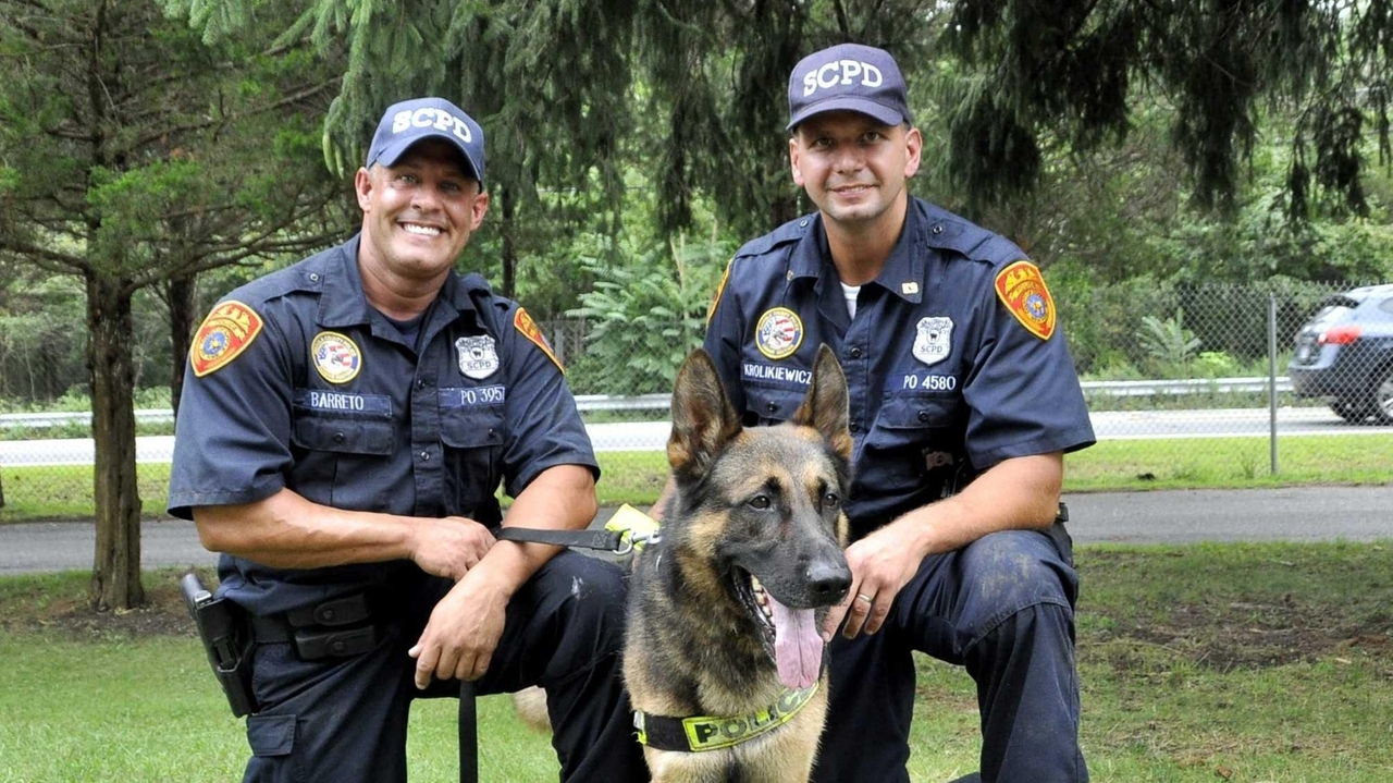 Veteran cop Sam Barreto eyes Suffolk County sheriff's post - Newsday
