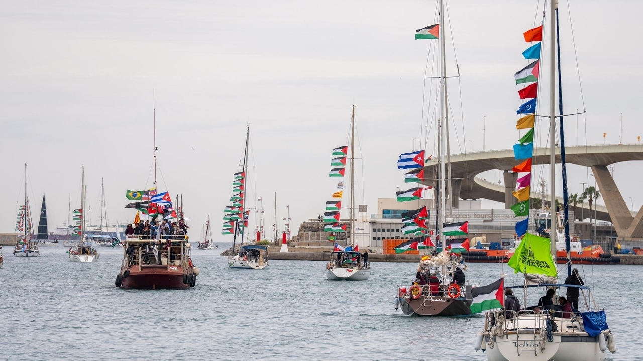 Activists say Israel has intercepted their Gaza aid flotilla near Crete ...