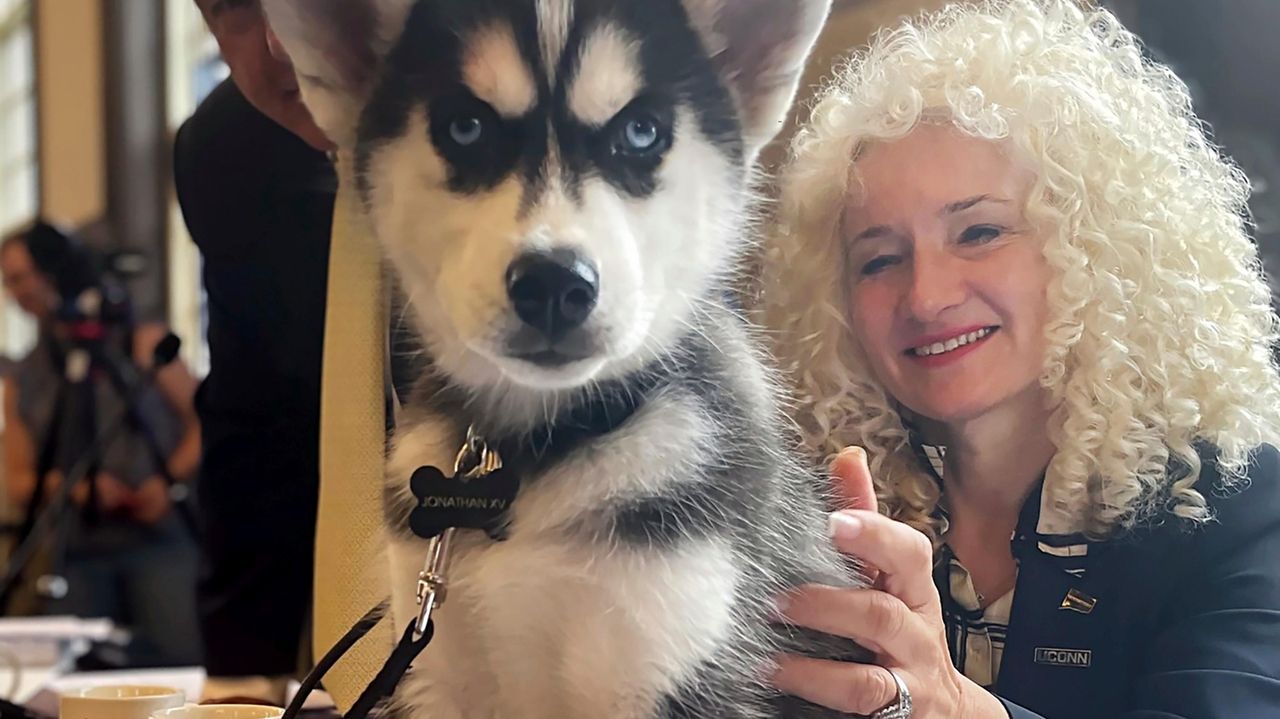 UConn introduces Siberian husky pup Jonathan XV as the school's next ...