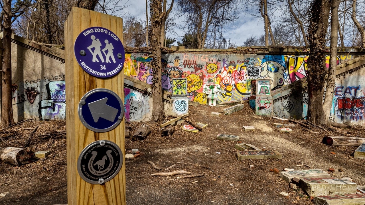 In Muttontown Preserve, wandering (a little less) off the beaten path ...