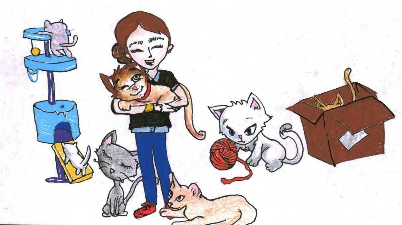 Tips for caring for your cat - Newsday