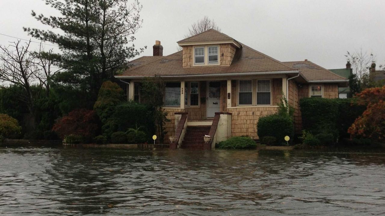 Saving the garden from saltwater damage - Newsday