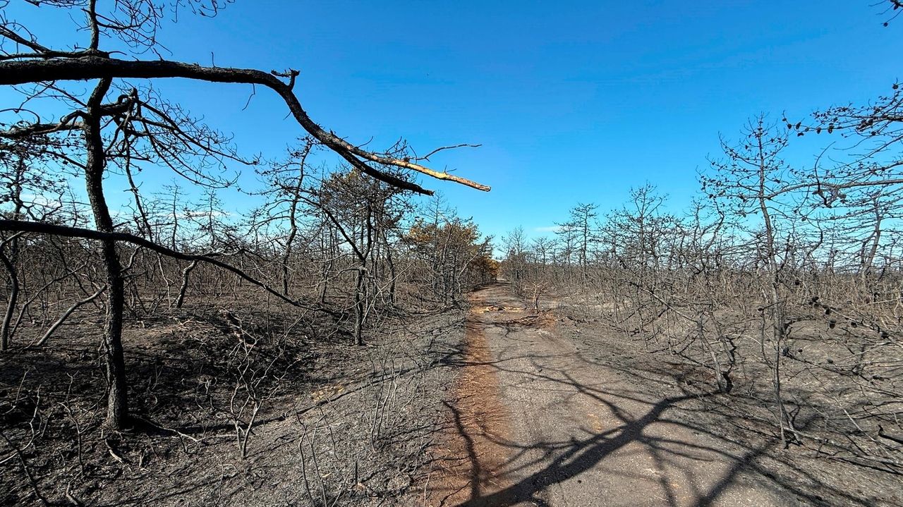 Latest on Suffolk fires: Westhampton fire knocked down; arson probe ...