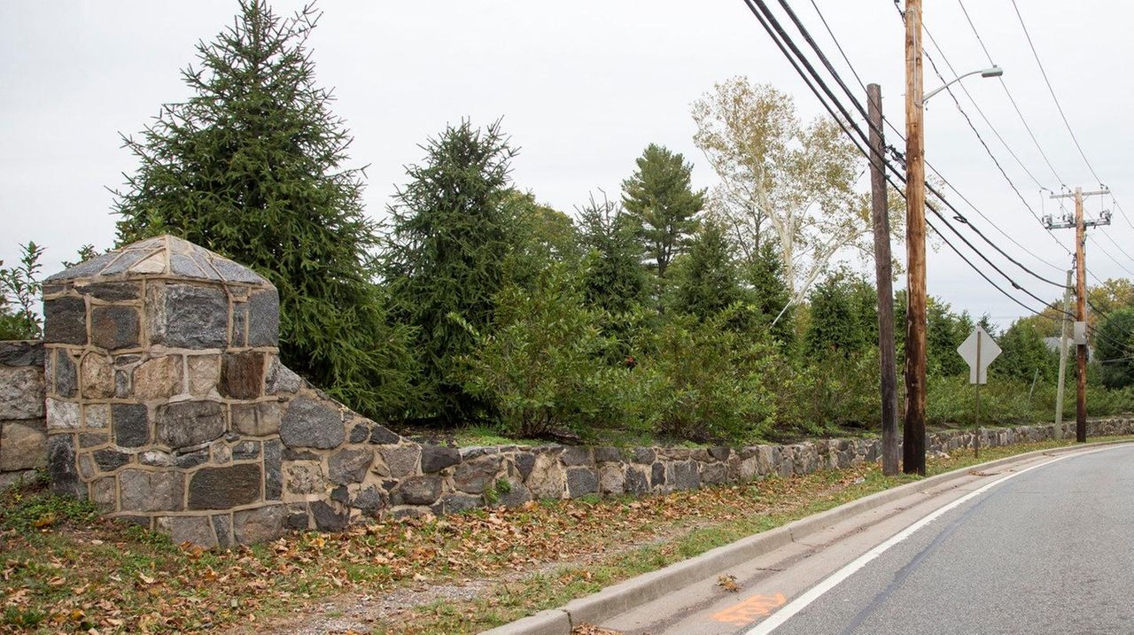 Town of North Hempstead villages revisit laws regulating trees - Newsday