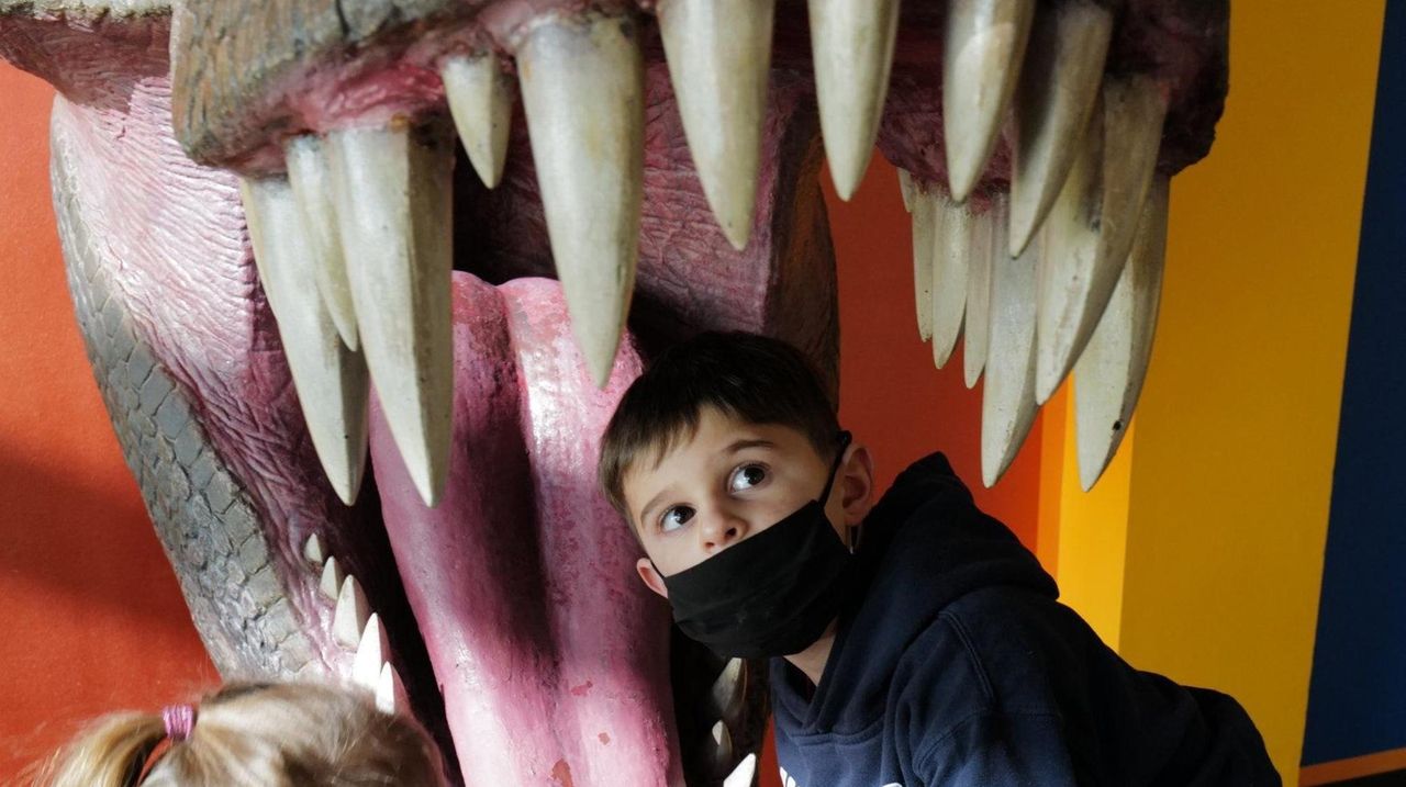 Dinosaur exhibit with lifelike T-Rex opens at the Long Island Children ...