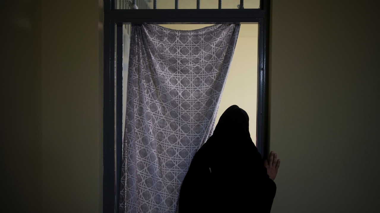 Afghan protesters injured during demonstration against Taliban-imposed ...