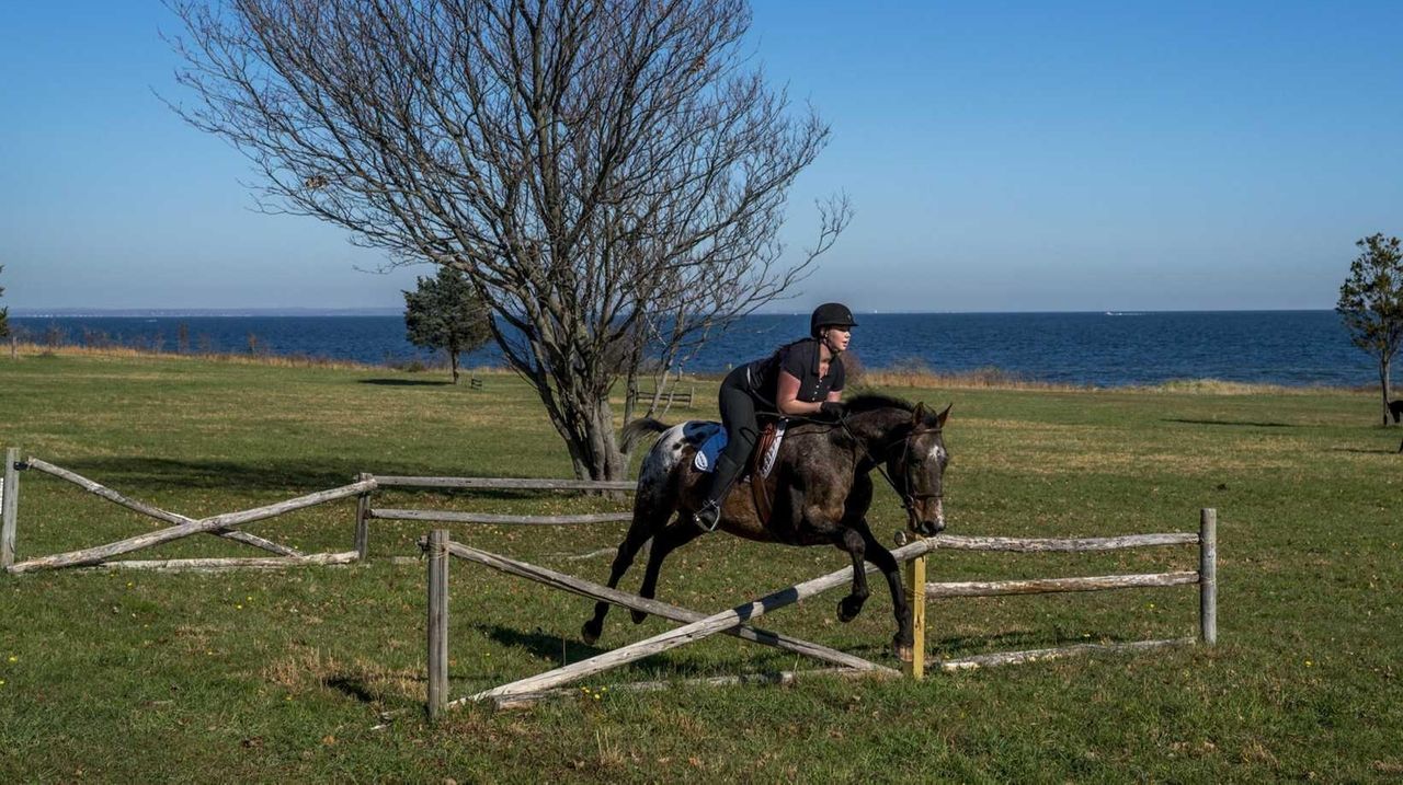 Sandpiper Farm legal fight with Huntington Town could end soon - Newsday