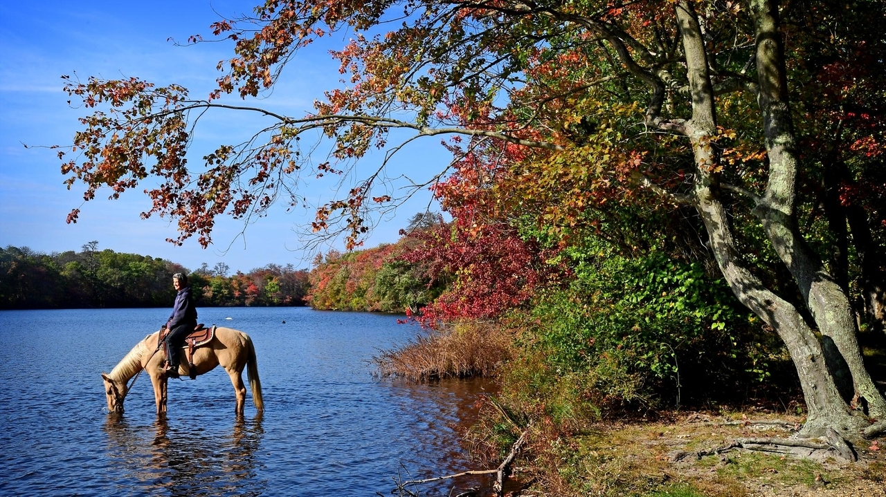 Explore Long Island's fall foliage on a bike, kayak or on horseback ...