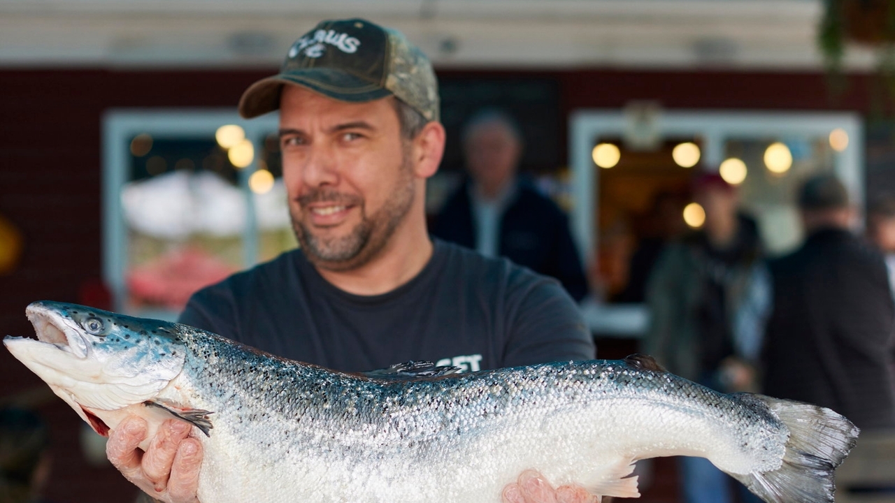 10 standout Long Island seafood market cafes - Newsday