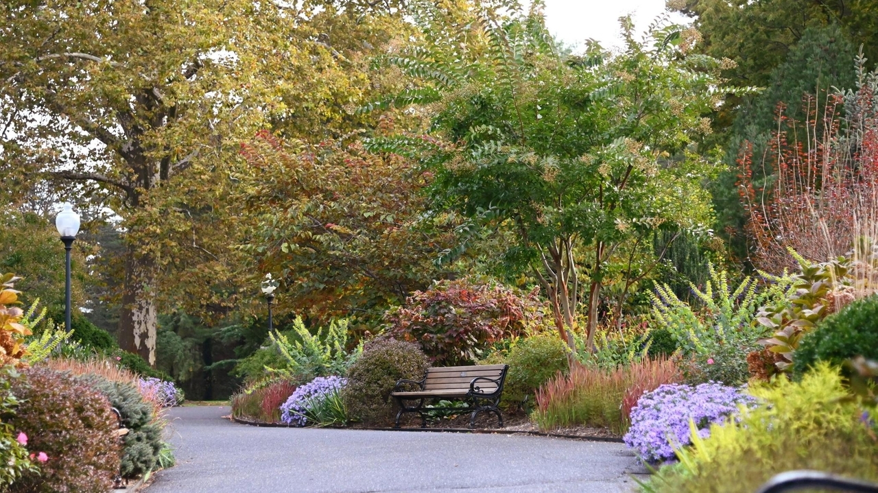 Free entry to 3 Long Island state parks this weekend during inaugural ...