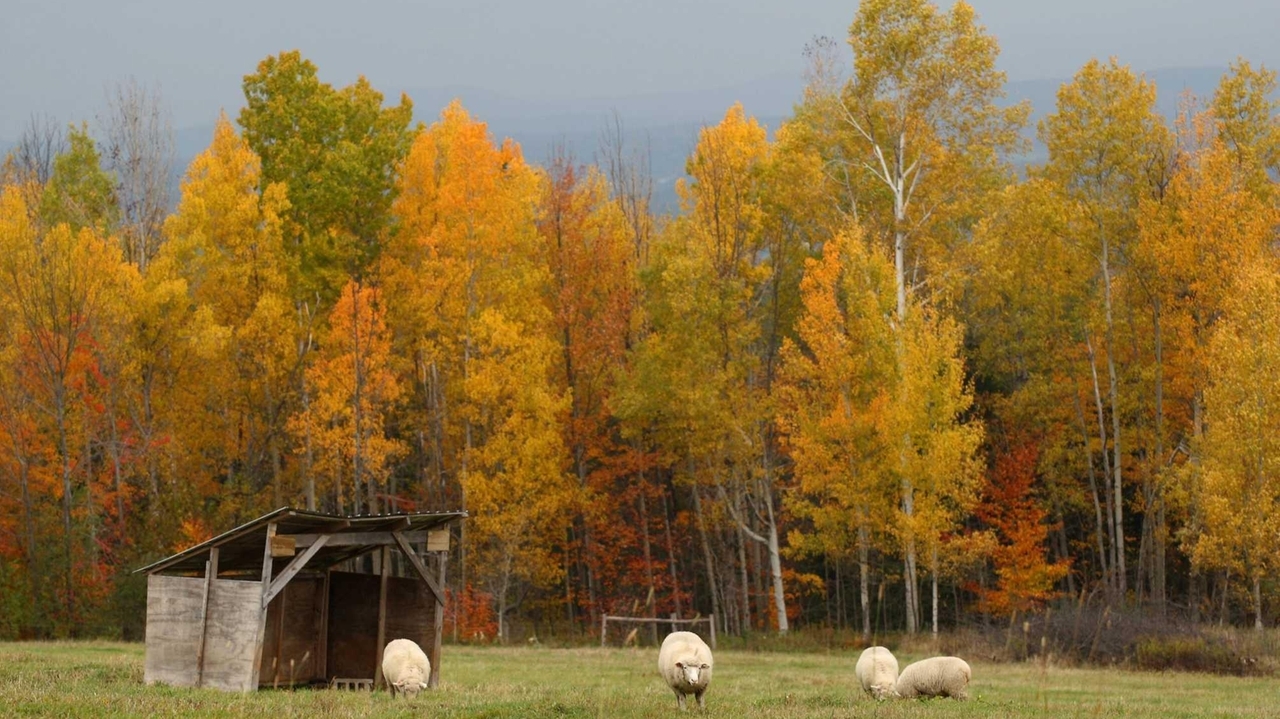 Vermont Route 100: the road to fall color - Newsday
