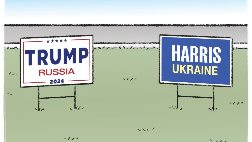 2024 presidential election cartoons - Newsday