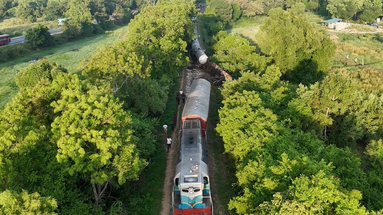Train hits and kills 2 wild elephants in Sri Lanka as 2 of its fuel ...